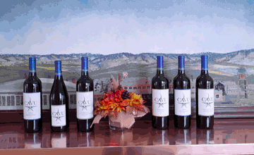 CAVU Cellars Home